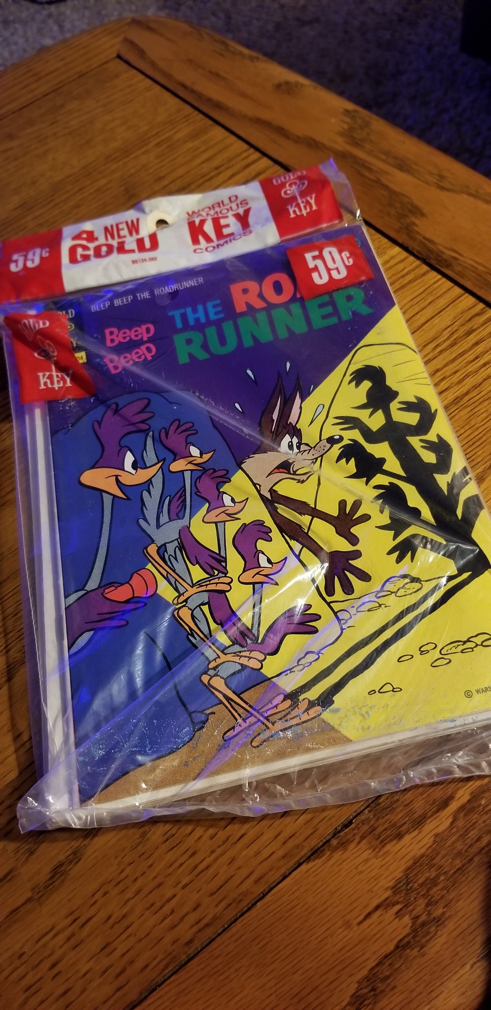 Road Runner Comic | Bizarre Brunette